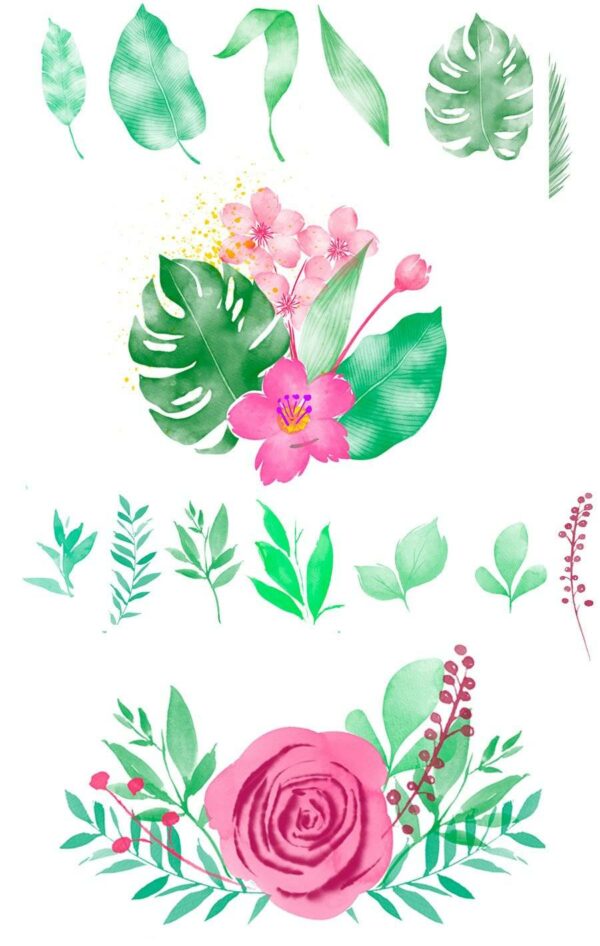 Modern Watercolor Collection - Full Bloom Club