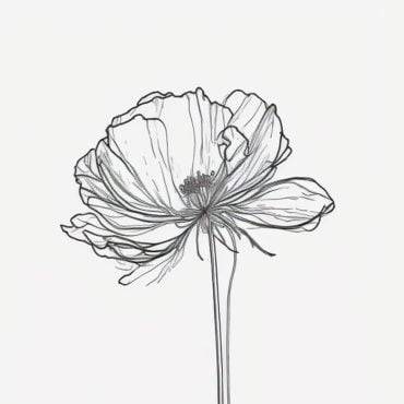 One Line Drawing: The Ultimate Guide & 129 Ideas For It - Full Bloom Club