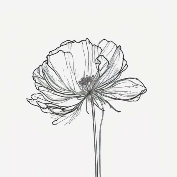 One Line Drawing: The Ultimate Guide & 129 Ideas For It - Full Bloom Club