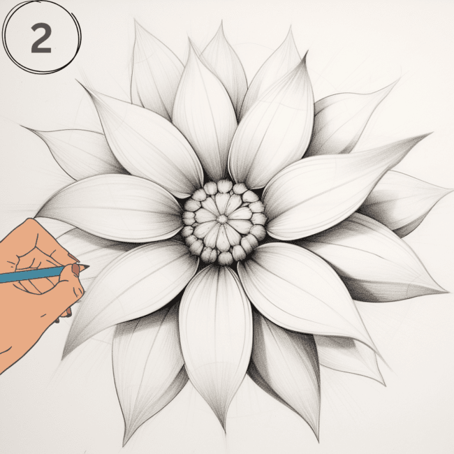 How to Draw a Flower: A Beginner's Guide - Full Bloom Club