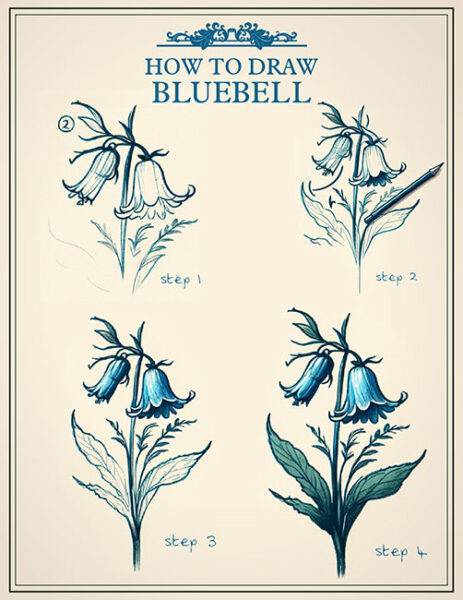 The Ultimate Step-by-Step Flower Guide with 96 Drawing Ideas Full Bloom ...